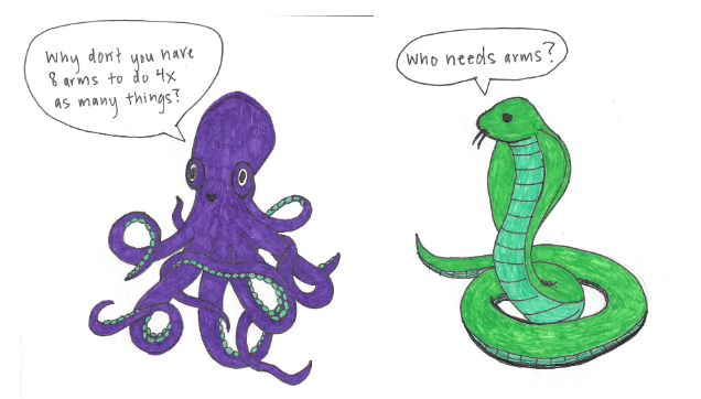 Octopus vs Snake – Becca Humann